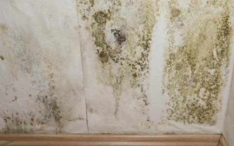 CorkSol UK - Sprayed Cork Coatings